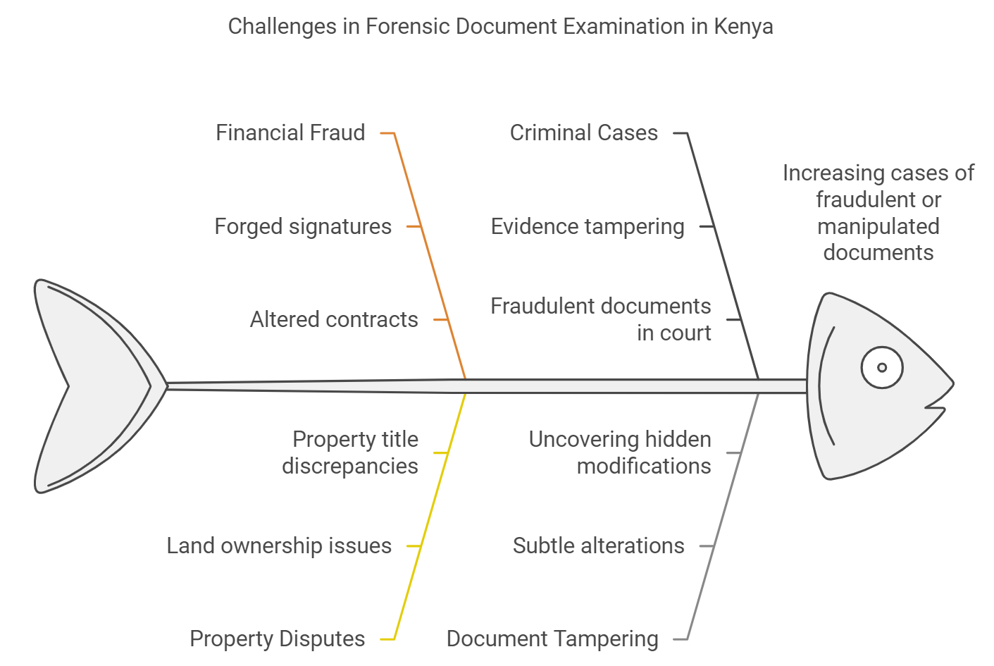 What Are Disputed Documents? - Ultimate Forensic Consultants